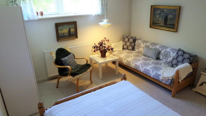 Big Pink - Anchers Værelse - Skagen