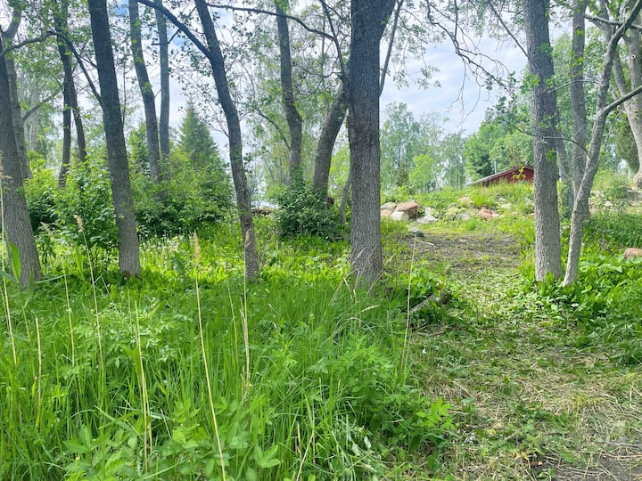 Peaceful Cabin In Sunny Location - Åland