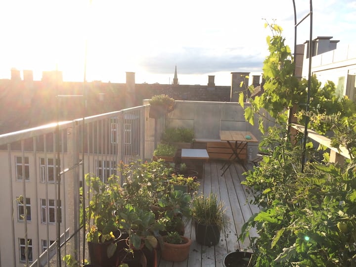 Loft Apartment With Rooftop Terrace - Copenhagen