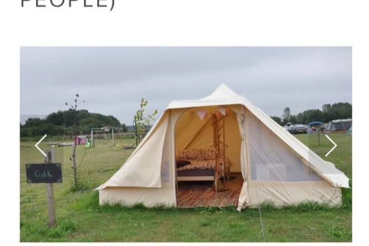 Oak Bell Tent - Spalding, UK