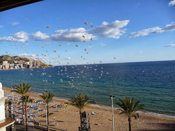 Primera Linea. 3 Habitaciones 200m². Gran Terraza. - Benidorm