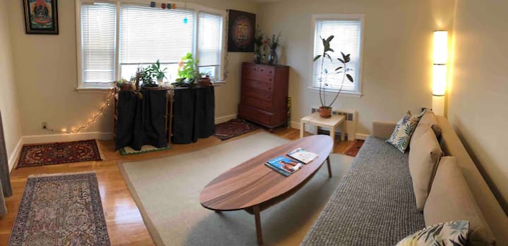 Tufts University, Airport, Parking Quiet Suite - Somerville, MA