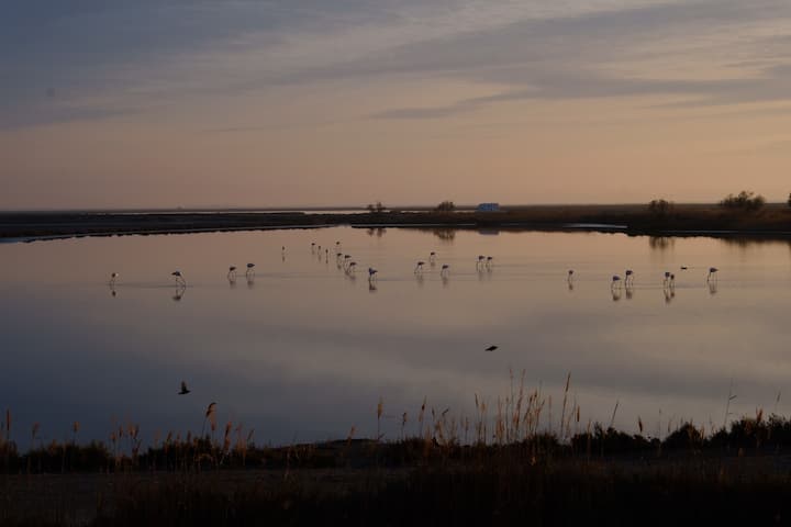 Face Aux Flamants, Grande Maison De Famille - Saintes-Maries-de-la-Mer