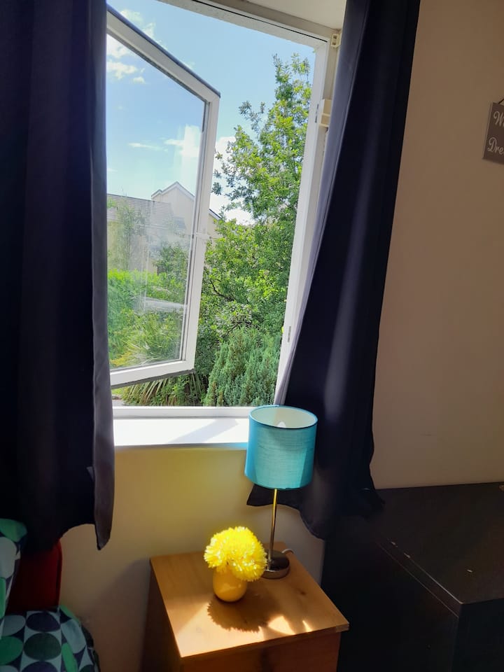 Single Room/pv Bathroom /Work Space/ Free Parking - Dublin