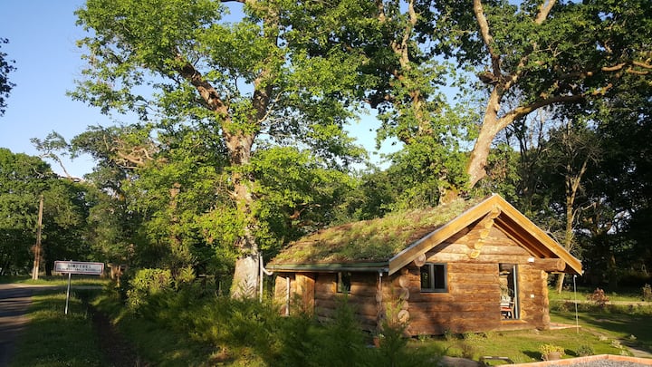 L'estanquet. - Landas