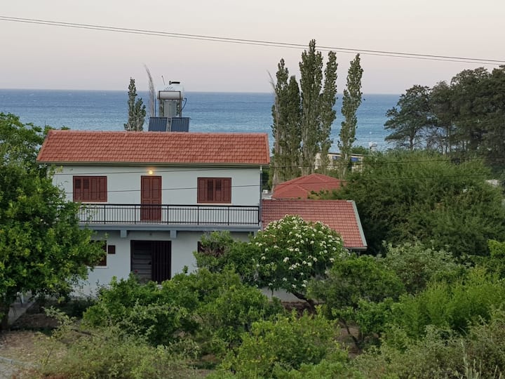 Fruit Garden By The Sea - Cyprus