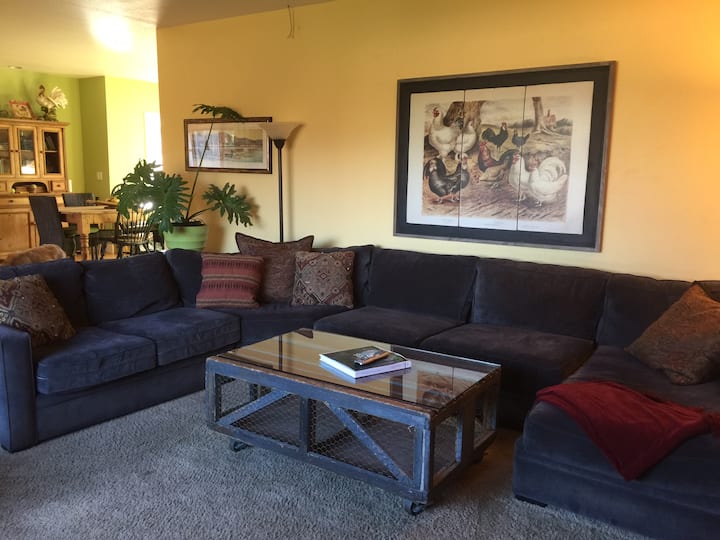 Camp Chapman- Pool/spa/bocce/firepit/od Kitchen - Petaluma, CA