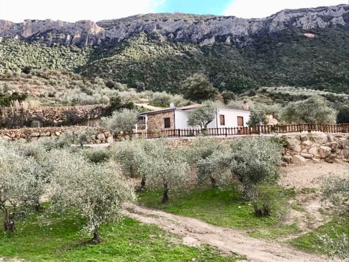 Villa Immersa Nel Verde. Area Relax E Bbq - Cala Gonone