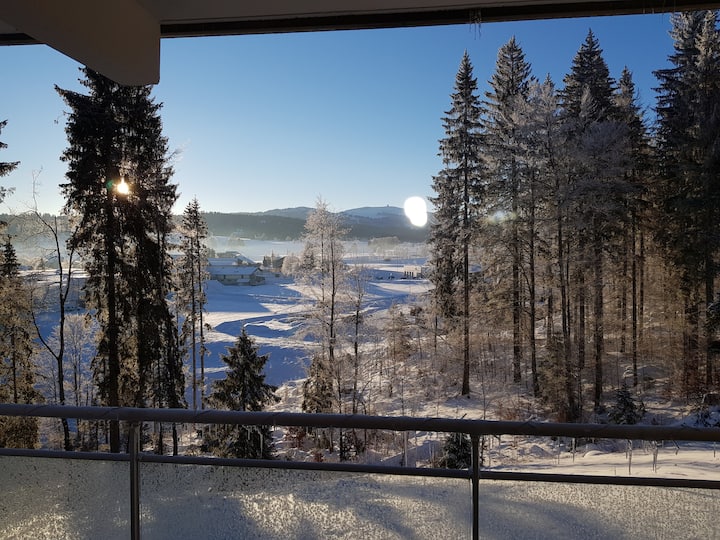 Grand Appartement  Cosy Et Moderne - Morez