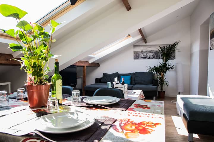 5 Chambres Dans 2 Appartements Cote à Cote - Niza