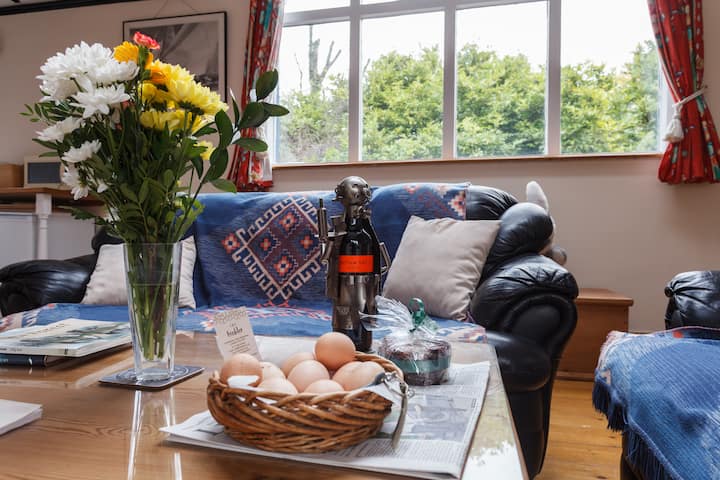 Spout House Studio - Brockenhurst