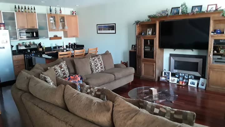Beautiful Duplex In Historic Kenwood Neighborhood - Chicago