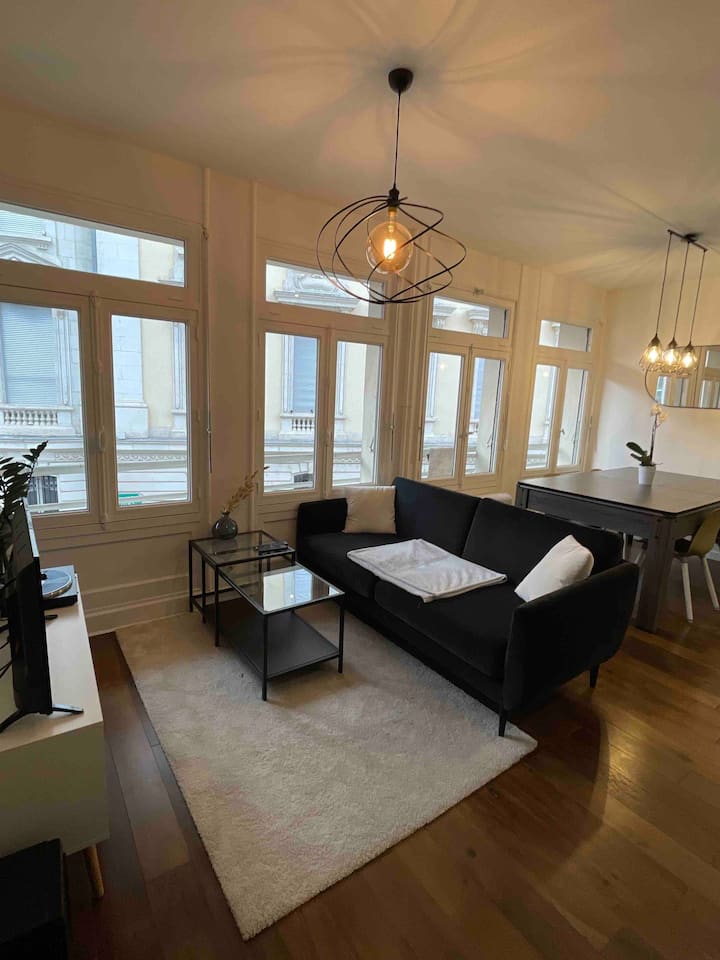 Appartement Lumineux Hypercentre - Roanne