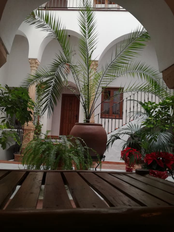 Casa Maika - Montoro