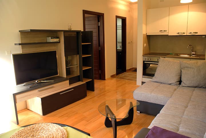 Foka Spa And Wellness  Apartment 11 Kopaonik - Kopaonik