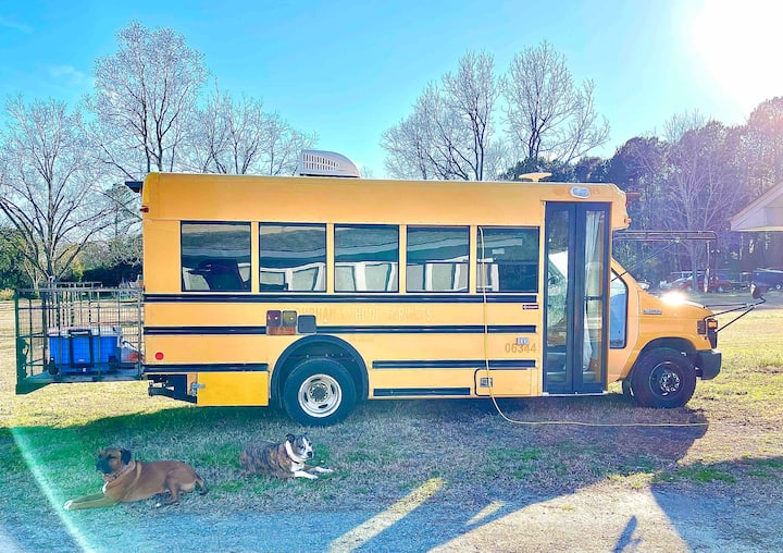 Bus Tank Adventurine - Moncks Corner, SC