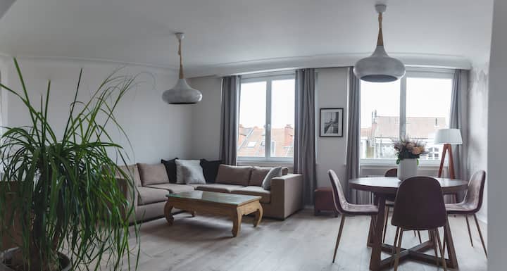 Charming & Spacious Apartment Located In Ixelles - Ixelles