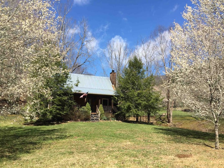 Celebrate Spring In Asheville! - Weaverville, NC