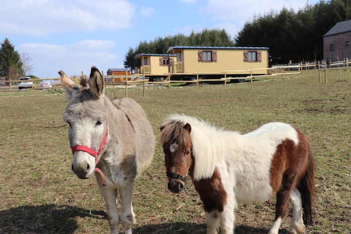 La Roulotte Romantique « Félin Pour L’autre » - Gedinne