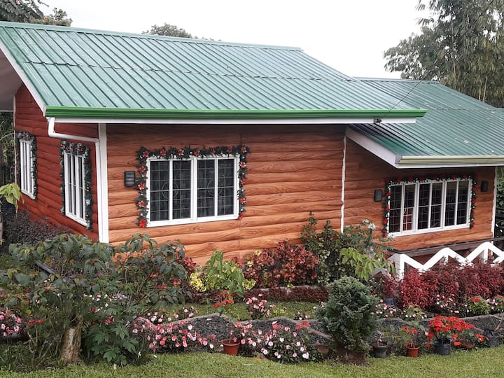 Dahilayan Comfy Cabin( Log Cabin) - Cabins for Rent in Manolo Fortich ...