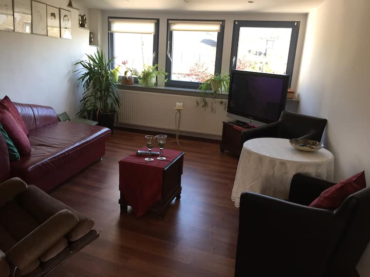 Gemütliche 2 Zimmerwohnung Mit Kleinem Moselblick - Trèves