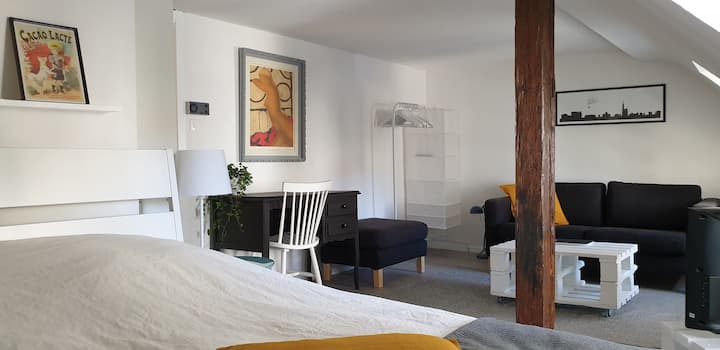 Le Nid Douillet à 2 Pas De L'hyper-centre - Strasbourg