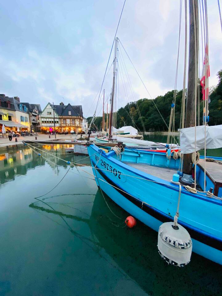 La Libellule 2 Pieces Proche St Goustan - Auray
