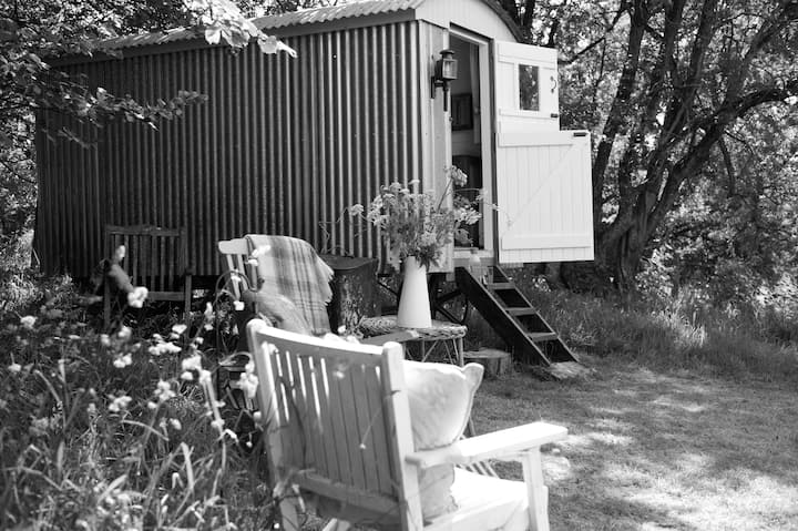 Miller's Hut - Shaftesbury