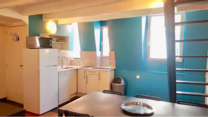 Leon 3 Chambres Grand Duplex En Ville, 7 Couchages - Lille