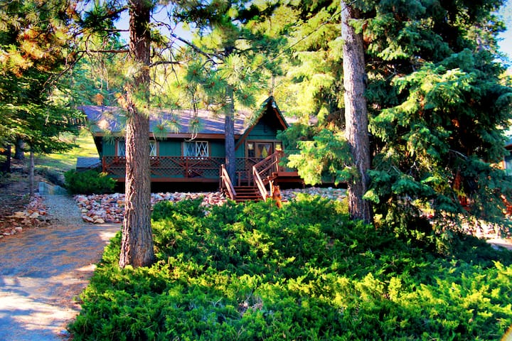 Outdoor Spa Cabin! Walk To Ski Lifts, Golf And Zoo - Big Bear, CA