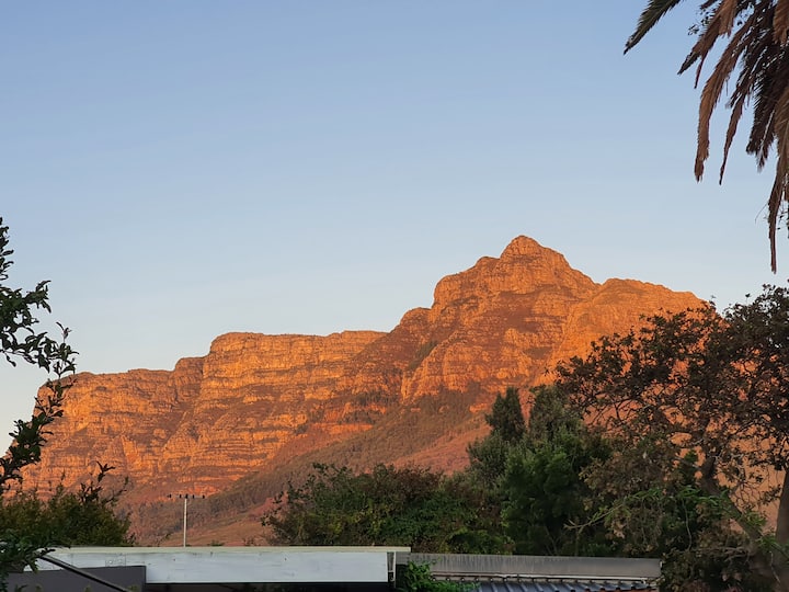 Mountainview Flatlet In Tranquil Setting, Mowbray - Cape Town