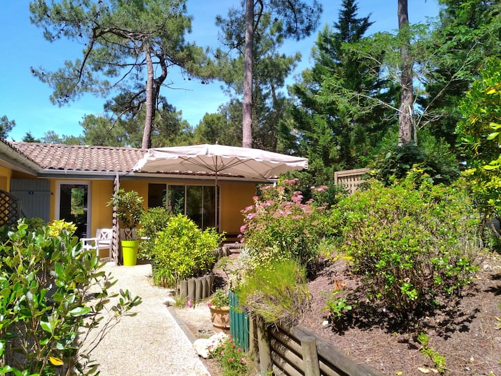 Chambre Agréable, 2 Lits Simples, Dans La Pinède - Lacanau