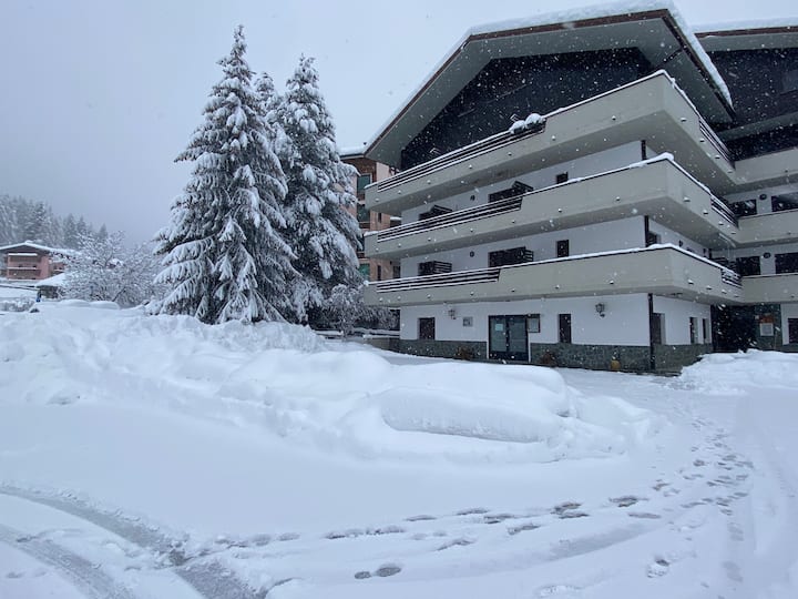Il Rifugio Dello Sciatore A 200 M Dagli Impianti. - Aprica