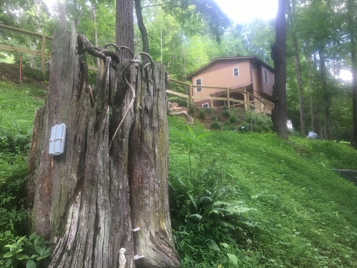 Fern - Brook Guest House/ Weaverville Nc - Weaverville, NC