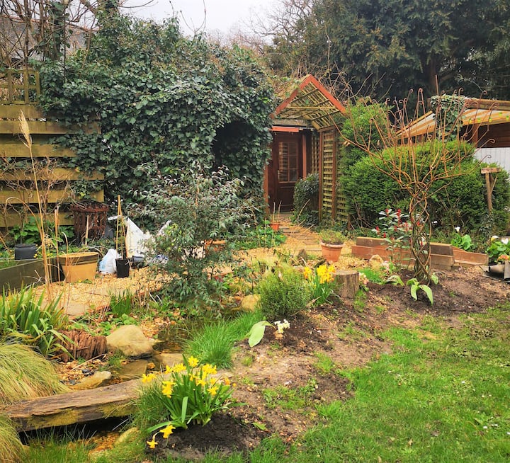 Private Log Cabins In Secluded Forest Garden - Brockenhurst