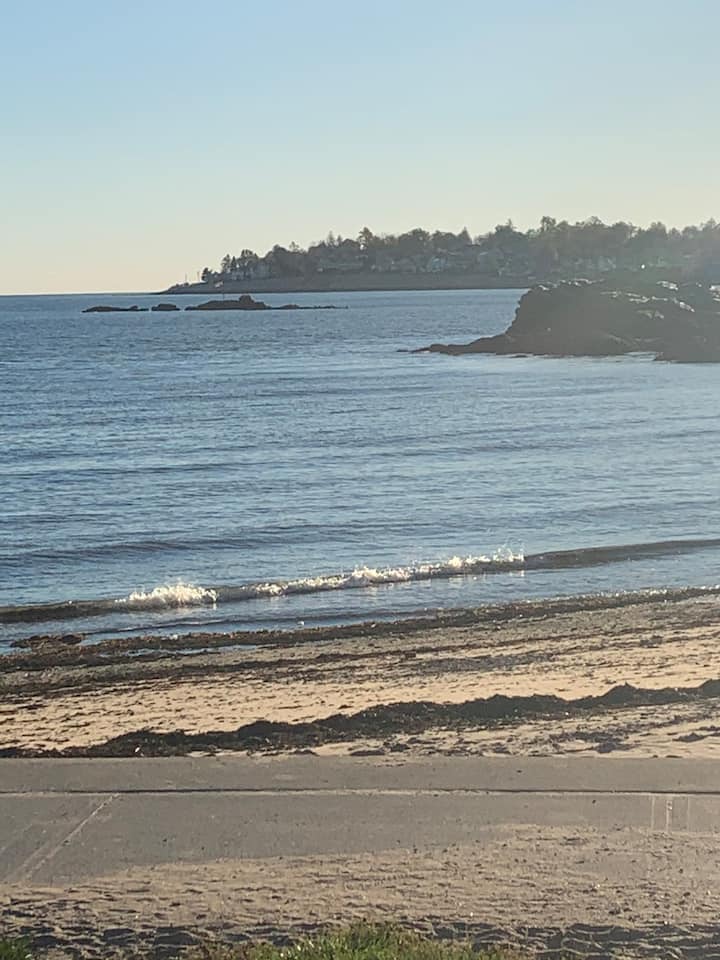 New Haven Vacation Rentals | Airbnb