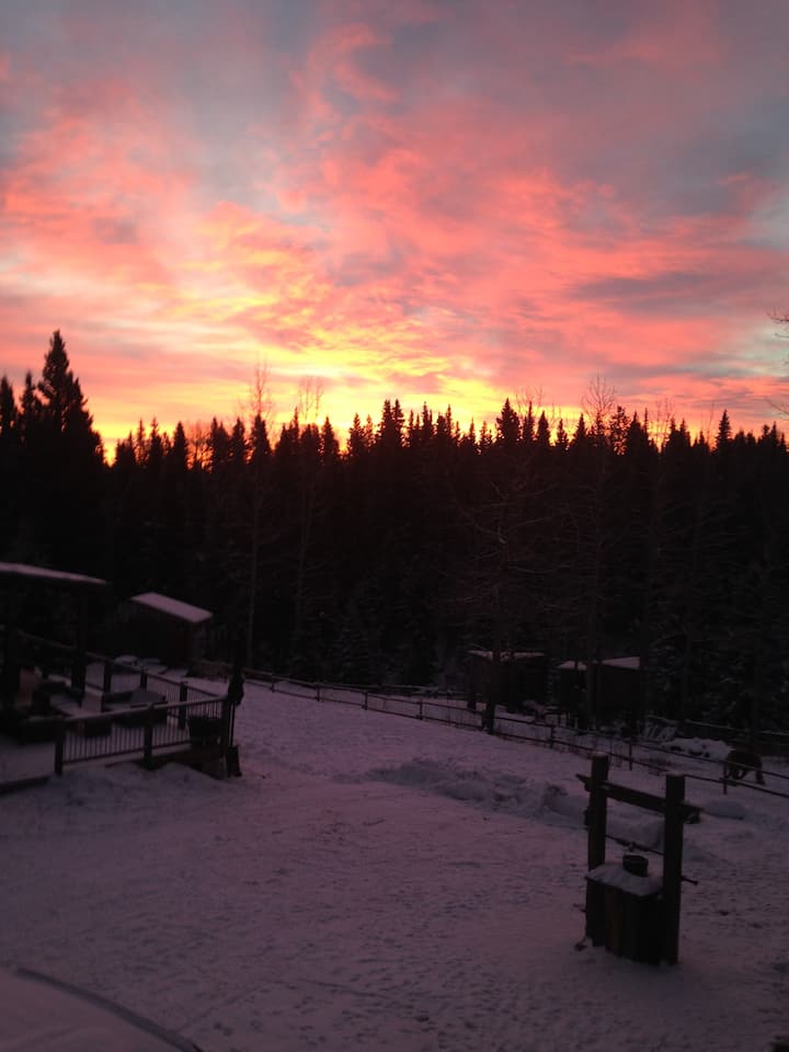 Krekwakwou
(Just What I Wanted)
Sunrise Loft - Alberta