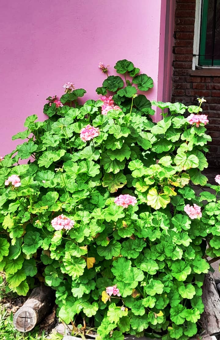 Casa Del Bosque - Bethlehem