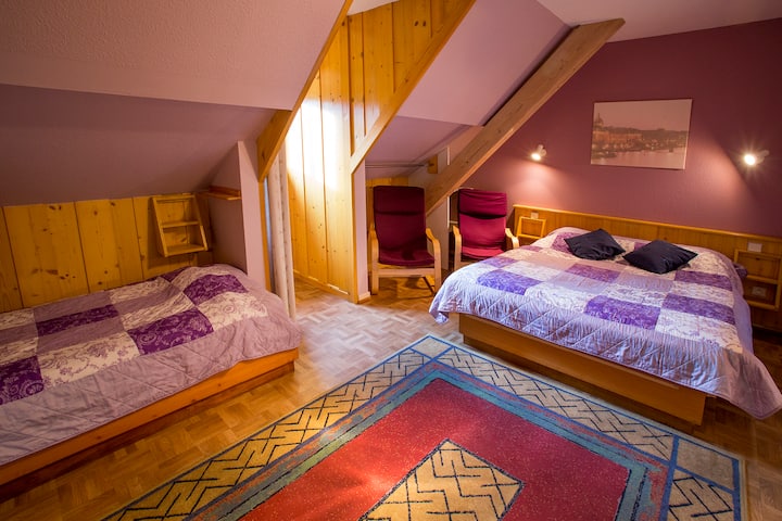 Gite Les Cépages "Le Schlossberg" - Ammerschwihr - Ammerschwihr