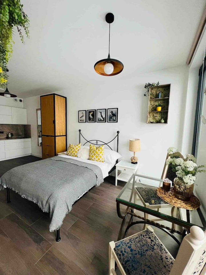 Old Town Botanique Studio Apartment With Lift - Krakau