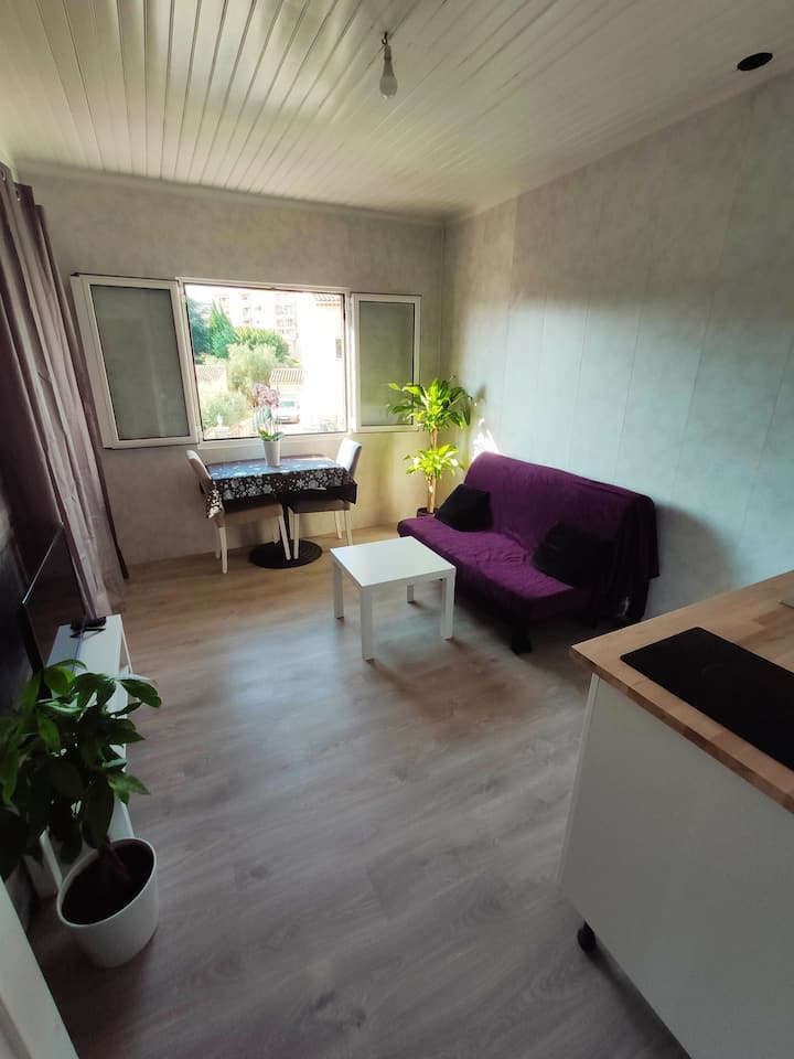 Studio 2 Le Mandarinier. Nouveau. Refait à Neuf - Cagnes-sur-Mer