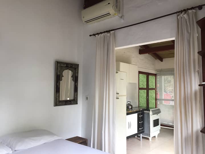 Mini Casa Mico Leão Dourado E Jardim - Bombinhas