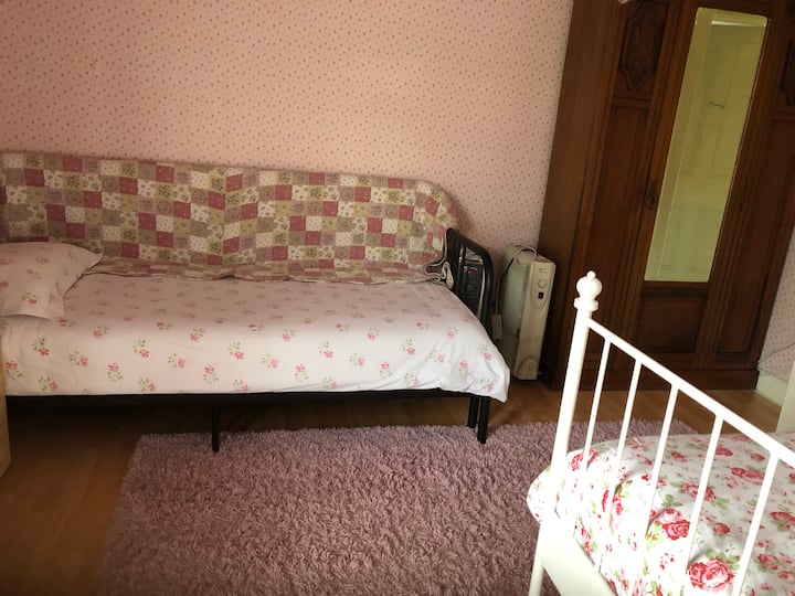 Spacious Room In Large Period Home Inc Breakfast - Carrickfergus
