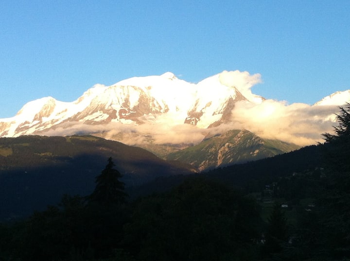 Appartement De Charme De La Perle Du Mont-blanc. - Sallanches