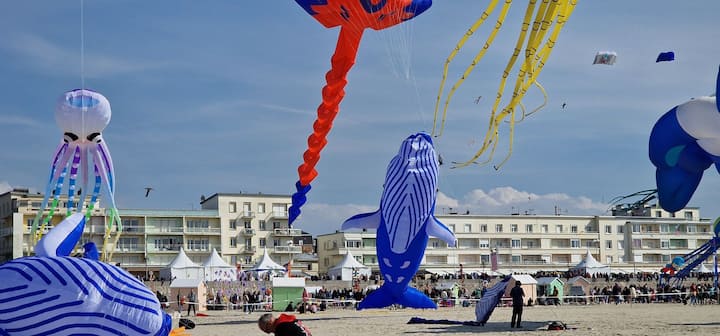 Maison Confortable Au Calme - Berck