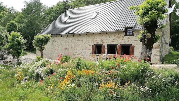 Gite La Pausetie Au Milieu De La Forêt . 2 * - Cantal