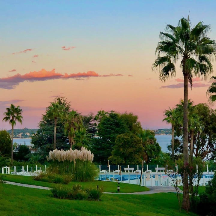 D & D Studio Super Cannes > Cannes - Vallauris