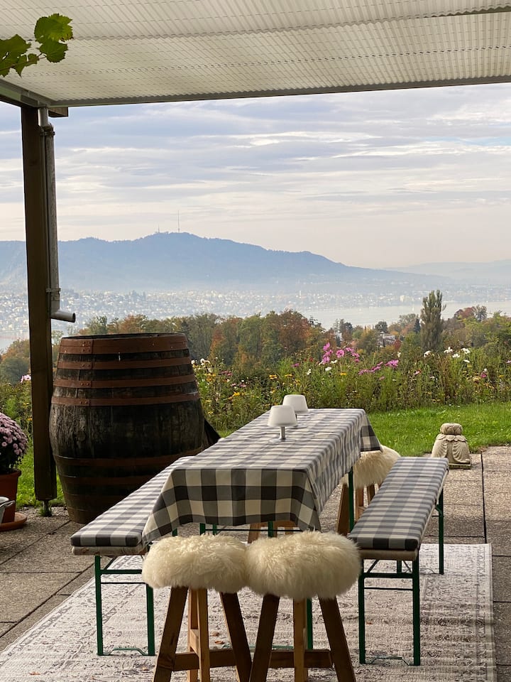 Villa Kunterbunt 8703 - Erlenbach