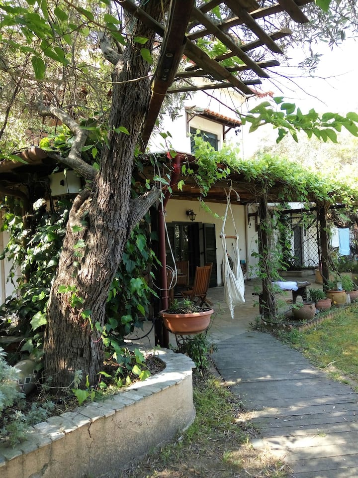 Villa Lina - Sarti, Greece