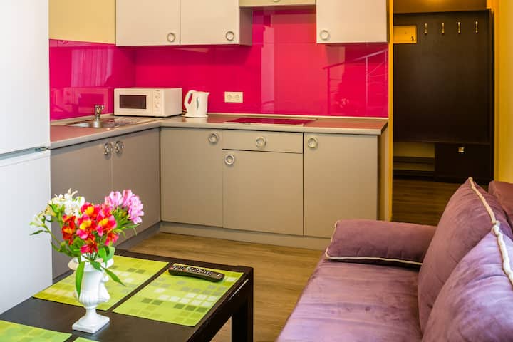 Апартамент Федьковича 3 - Lviv